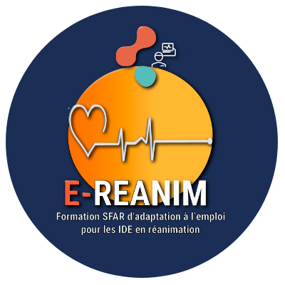 Formation IDE - La SFAR